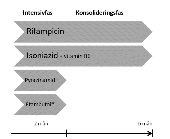 Tuberkulos (tbc), behandling – behandlingsöversikt | Internetmedicin
