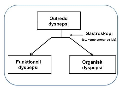 Dyspepsi/ulkus (magkatarr och magsår)