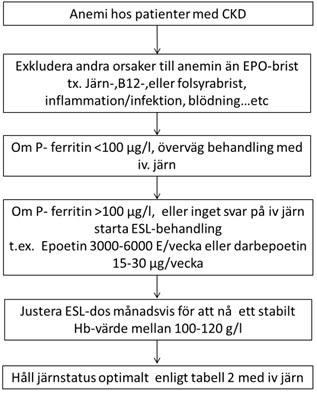 Anemi vid kronisk njursjukdom
