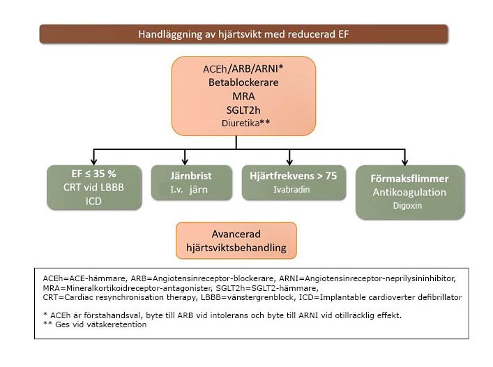 Hjärtsvikt, kronisk – med reducerad systolisk funktion (HFrEF, HFmrEF ...
