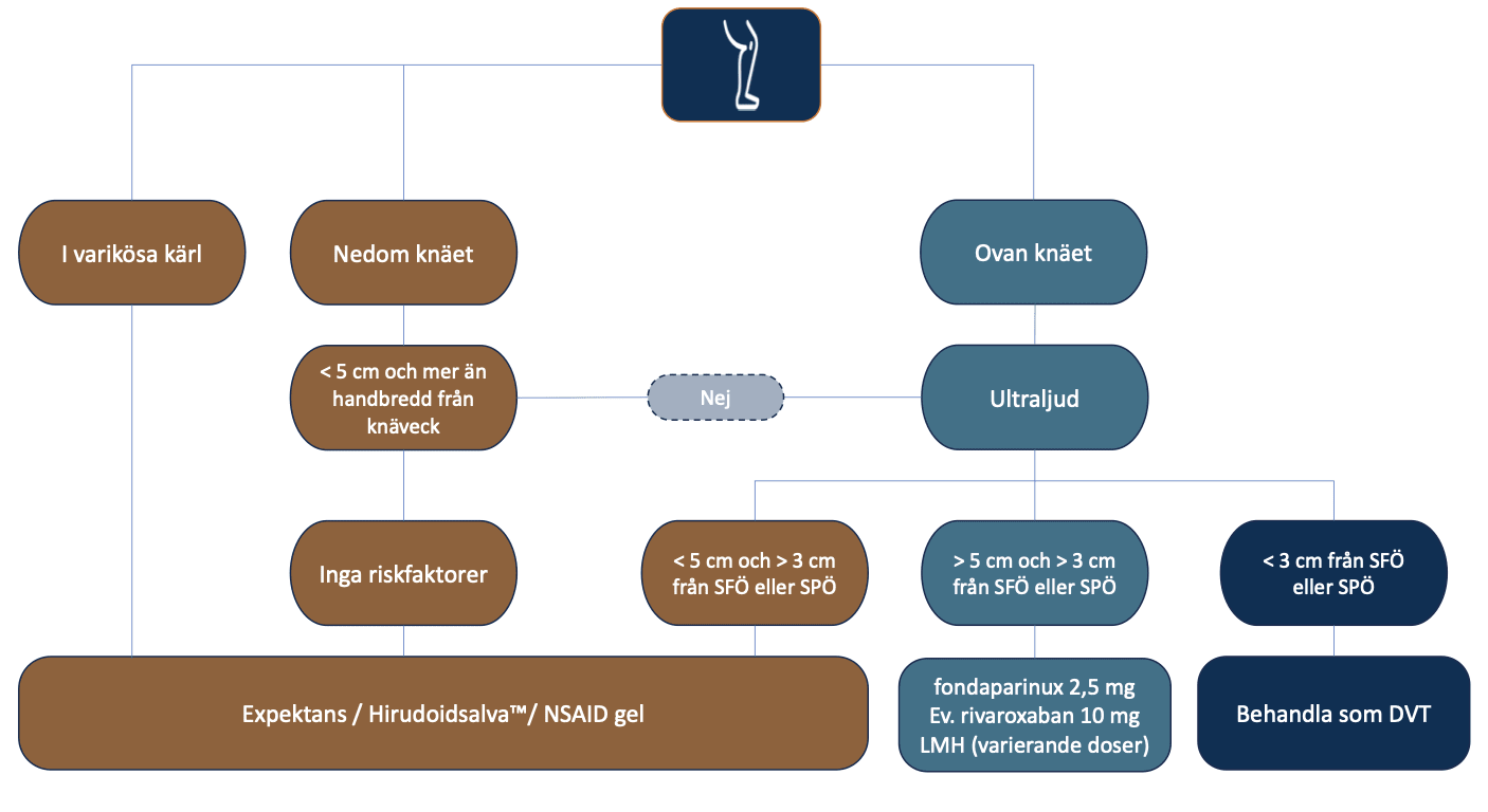 Superficiell ventrombos (SVT; tromboflebit)