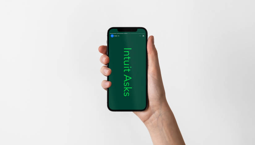 Intuit Visual Identity