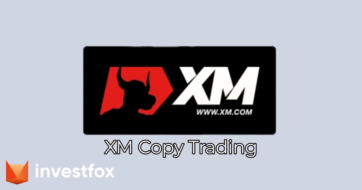 XM copy trading - what traders need to know
