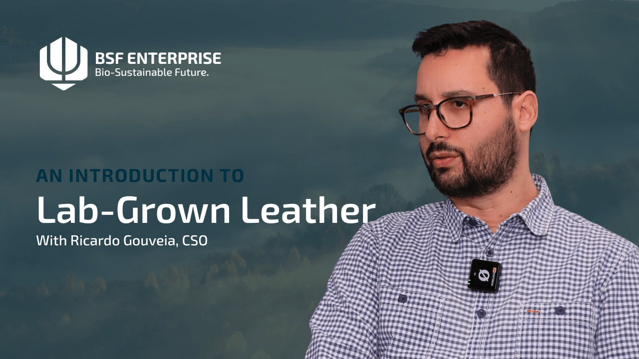 LSE:BSFA - Scaling Sustainable Lab-Grown Leather with 3D Bio-Tissues