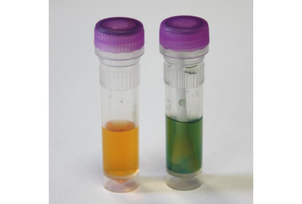 Pyromol – Isopharm Systems