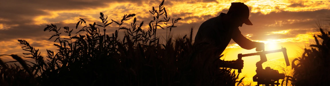 Albanian farming enters a new era | Intesa Sanpaolo Bank Albania