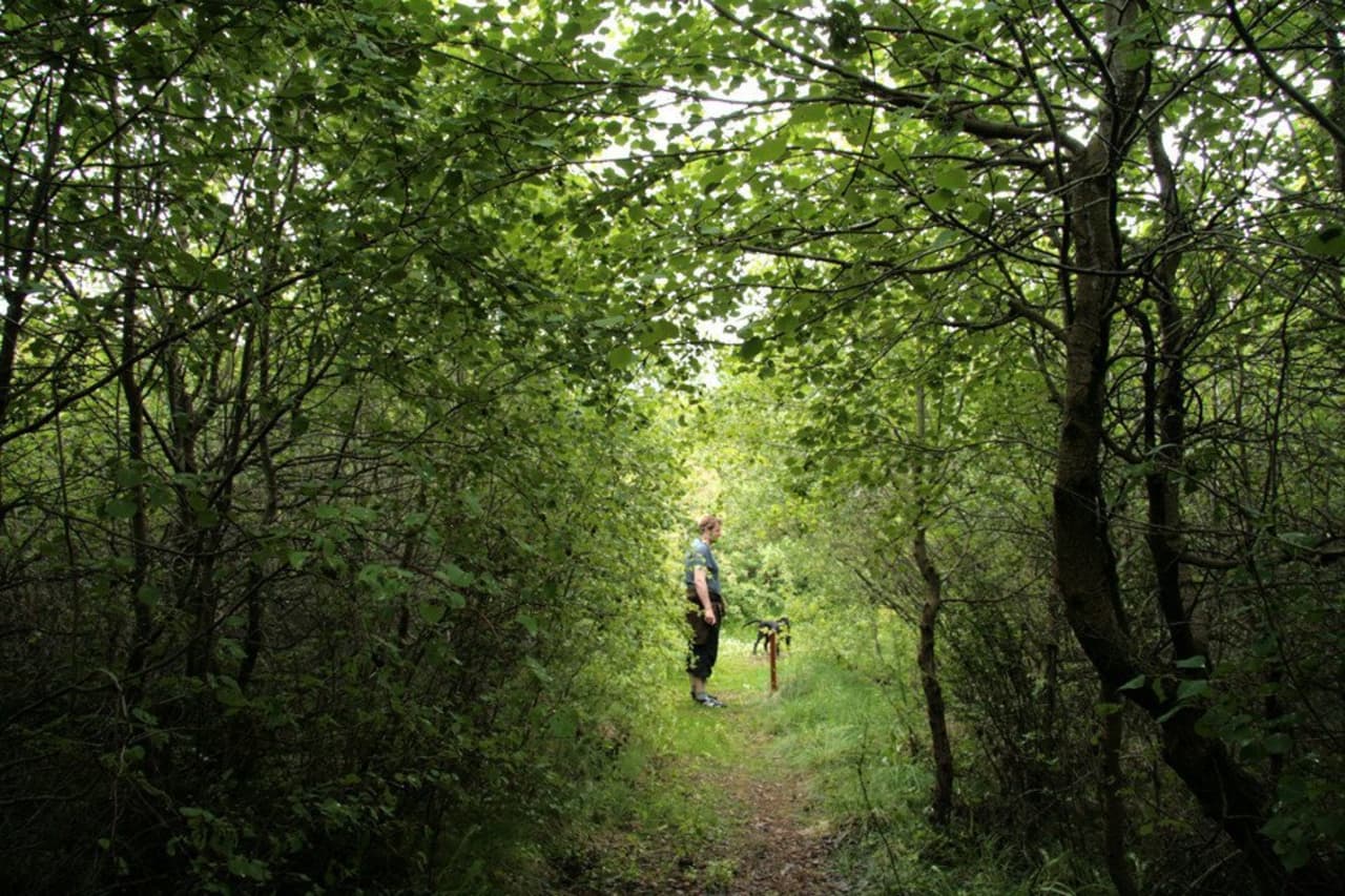 Grund Historical Grove | Visit North Iceland