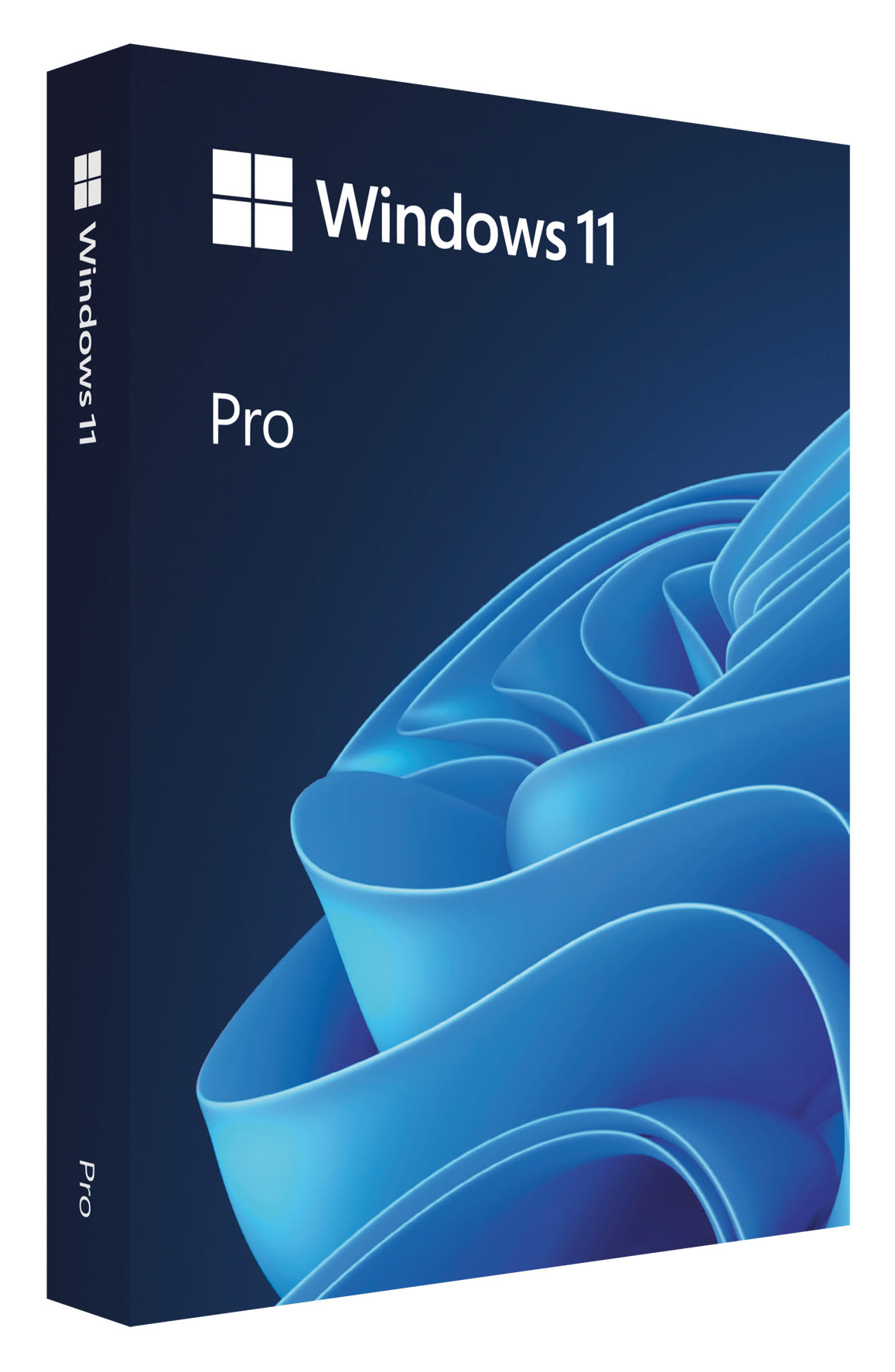 MS Win 11 Pro FPP 64-bit Eng Intl USB (HAV-00163)