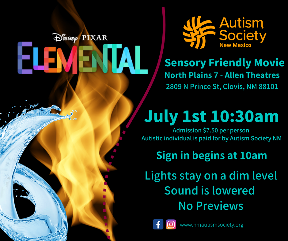 NM Autism Society