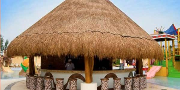 Restaurantes | All Ritmo Cancún Resort & Waterpark