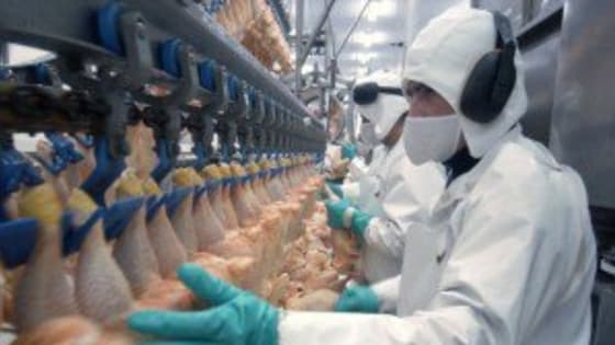 USDA Rule to Speed Up Poultry Inspections Concerns Food Safety Advocates