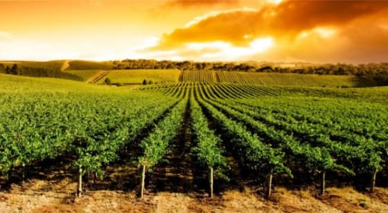 California EPA Points to Physical Signs of Climate Change Progression