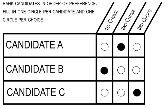 How Does Ranked Choice Voting Work?