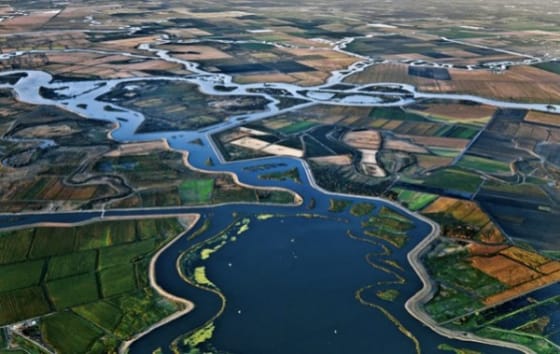 Bay Delta Conservation Plan Draws Environmental Ire