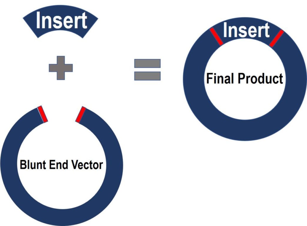 Accuris PR1001-HF - High Fidelity Master Mix | TEquipment