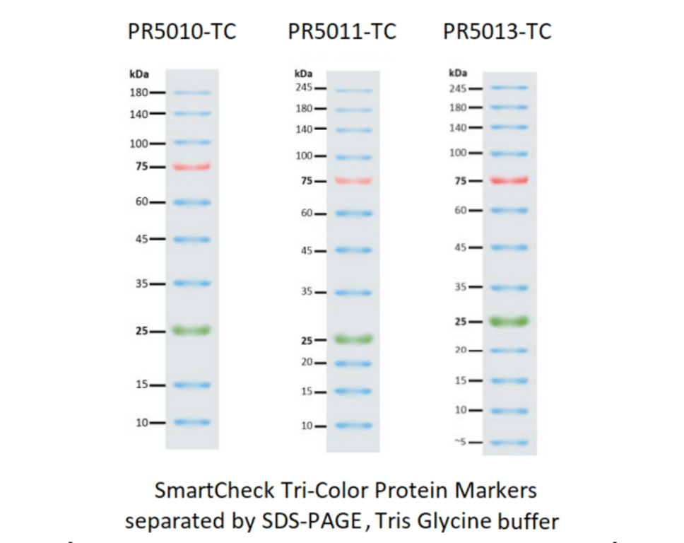 Accuris SmartCheck-TC - Tri-Color Protein Markers | TEquipment