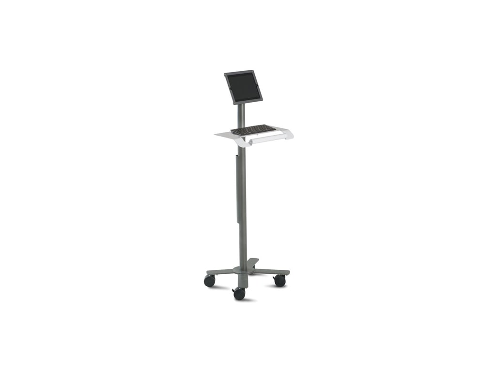 Ergotron PT2GMPW3 The Peanut Portable Stand for iPads and tablets ...