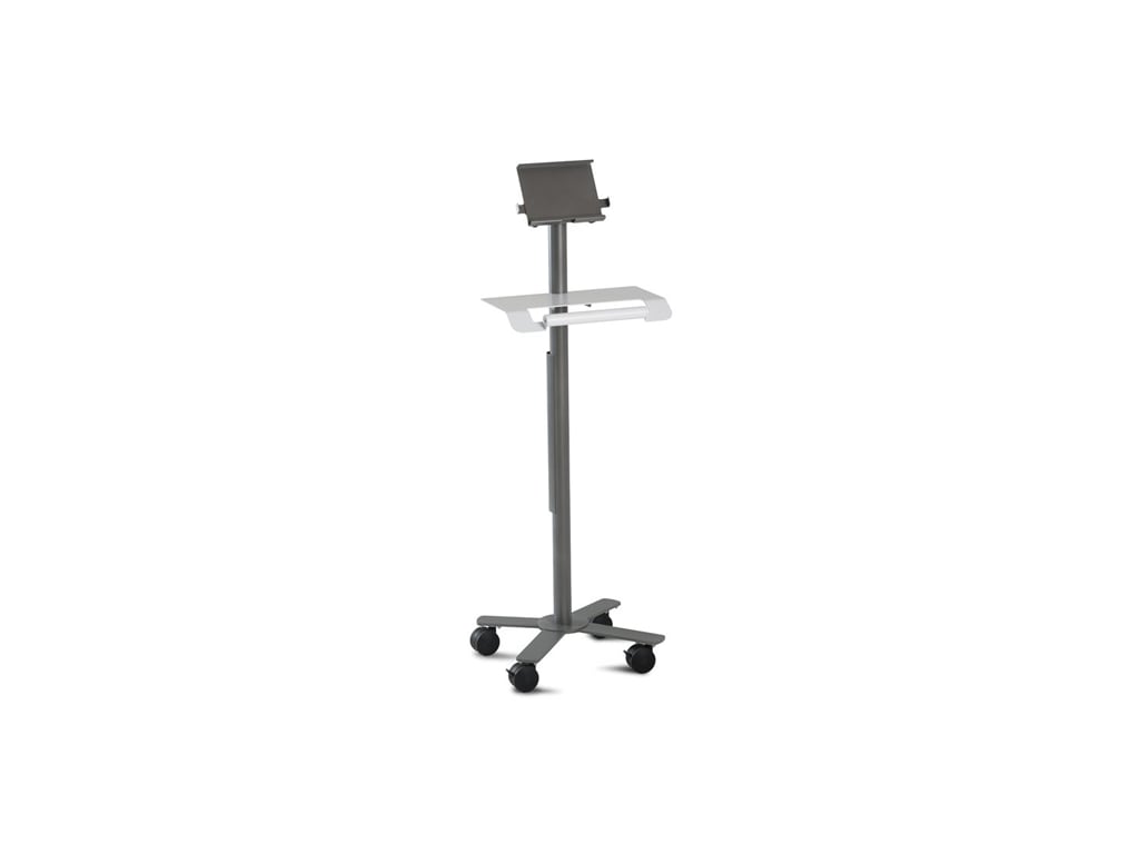 Ergotron PT2GMPW3 The Peanut Portable Stand for iPads and tablets ...