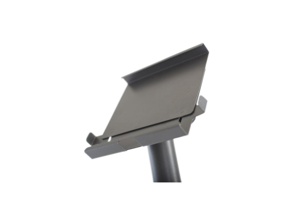Ergotron PT2GMPW3 The Peanut Portable Stand for iPads and tablets ...