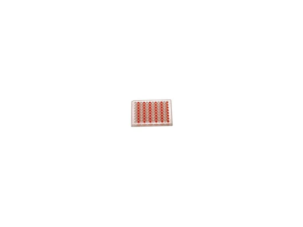 Argos 24409-33 - Cell and Tissue Culture Plates, Non-Sterile ...