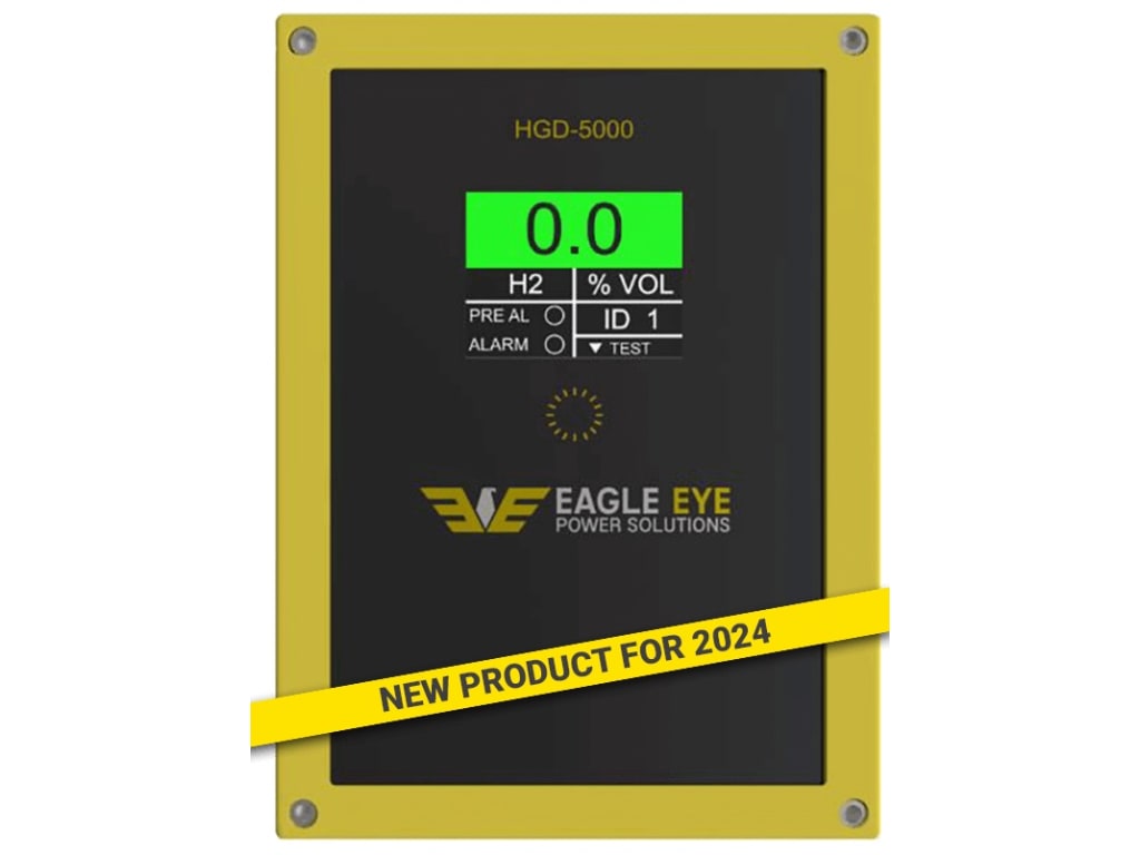 Eagle Eye HGD-5000 - Hydrogen Gas Detector (AC or DC Power, Replaceable ...