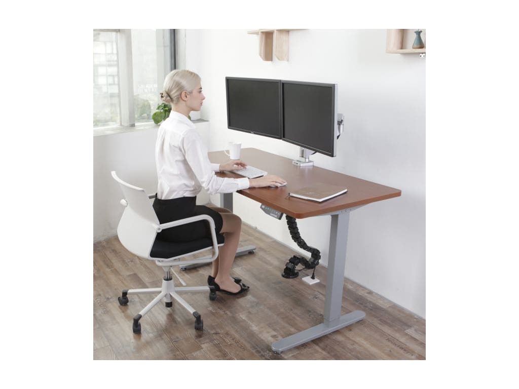 Loctek ED1 Electric Height Adjustable Desk - 25.5 to 47.4-inch Height ...