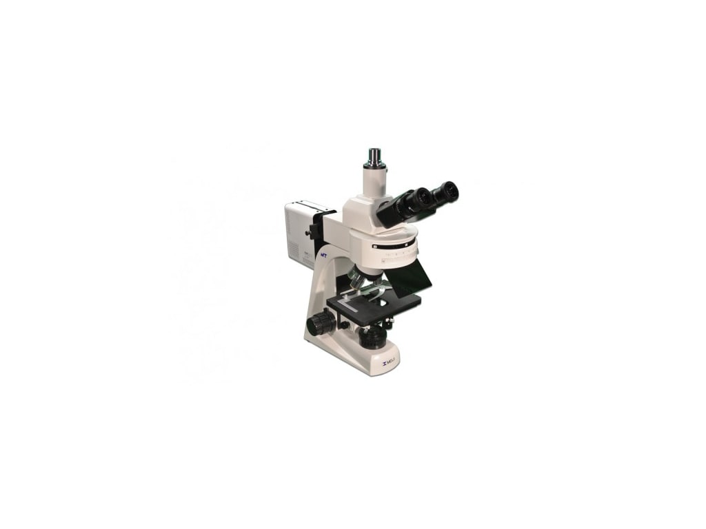 Meiji Techno MT6300CW - Trinocular Epi-Fluorescence Biological ...