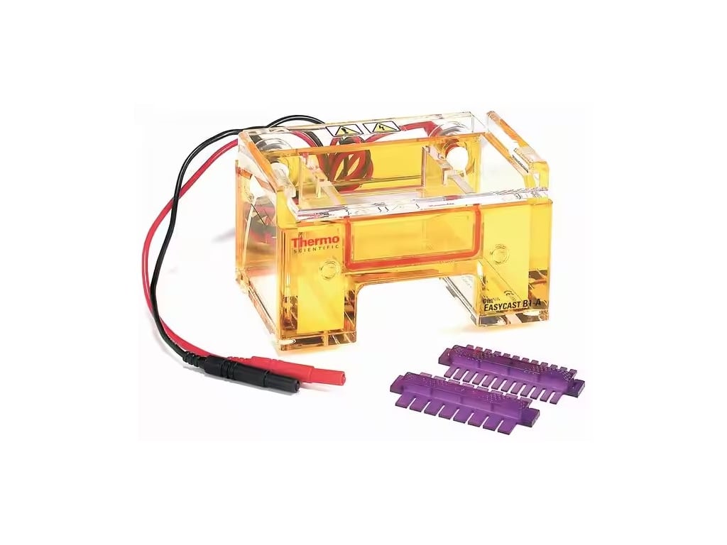 Thermo Scientific B1A-UVT - Replacement Gasketed UVT Gel Tray, for ...