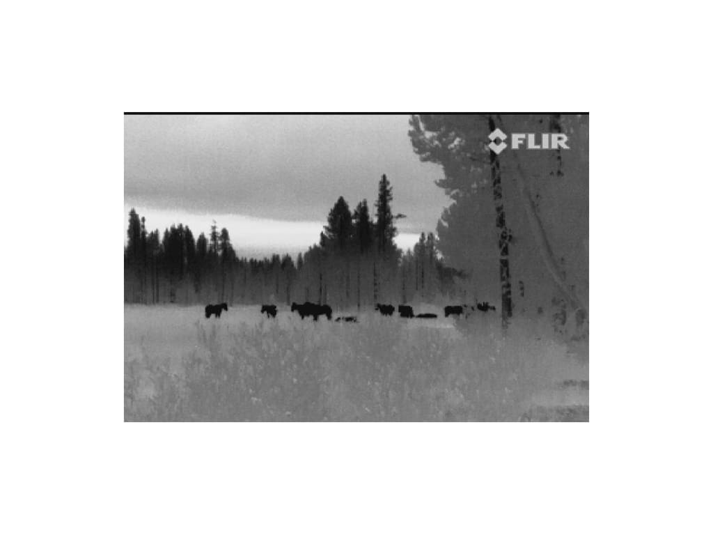 FLIR Scout PS24 Monocular Thermal Handheld Camera, NTSC 240x180 ...