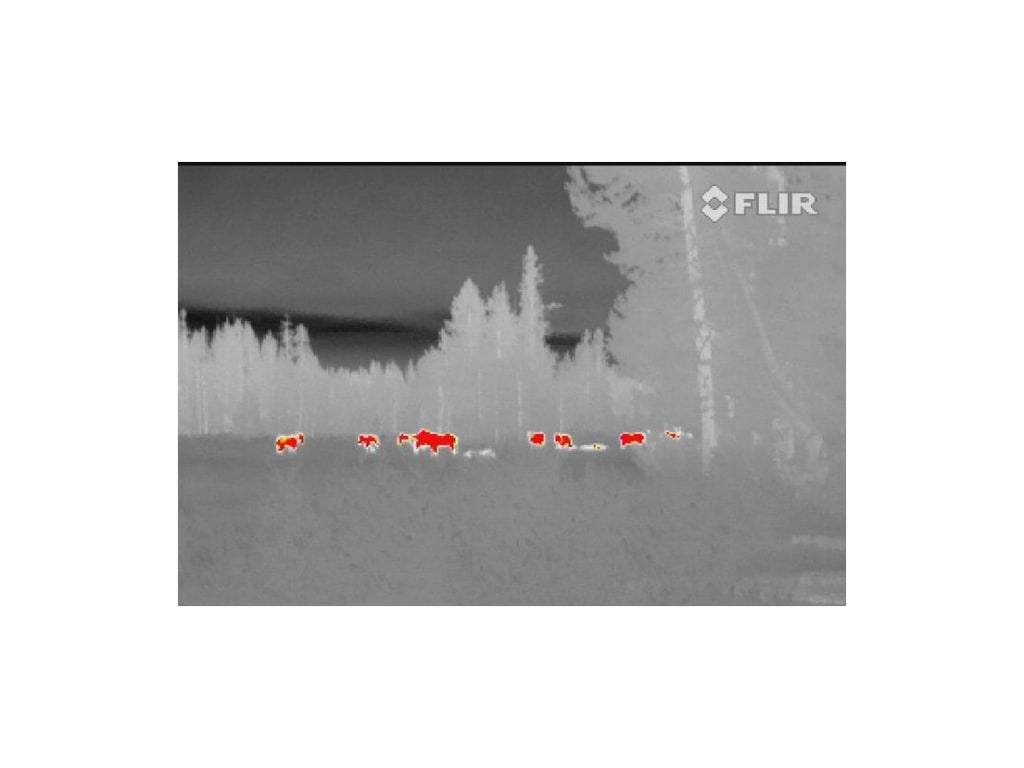 FLIR Scout PS24 Monocular Thermal Handheld Camera, NTSC 240x180 ...