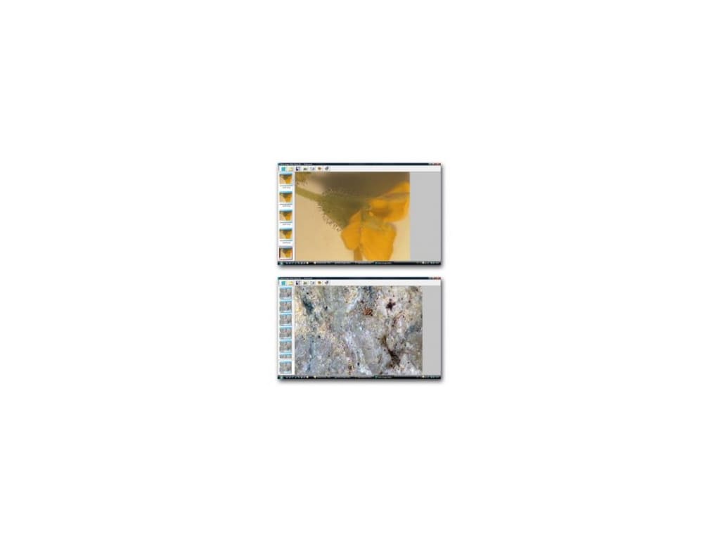 Motic IMAGES MULTI FOCUS PRO - Multi-Focus Image Software for PC Only ...