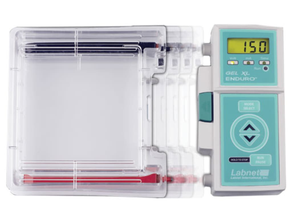 Labnet International E0160-230V-UK E0160 ENDURO Gel XL Electrophoresis ...