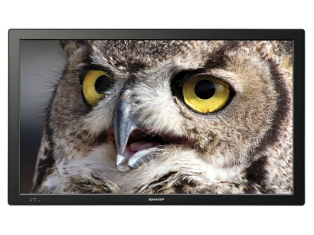 Sharp PN-T321 Professional LCD Monitor with 32" class (31-1/2" diagonal ...