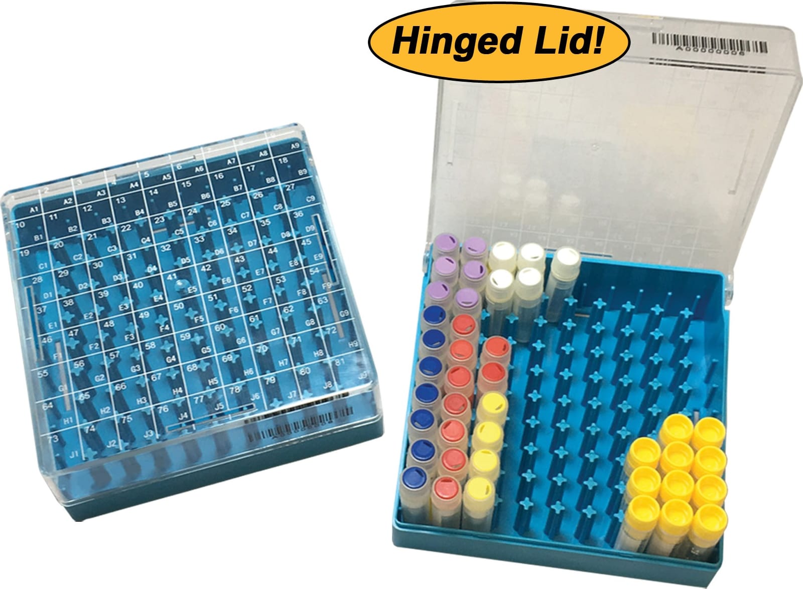 MTC Bio R2100 - Cryo Storage Box w/Hinged Lid, 100 Place, 10x10 ...