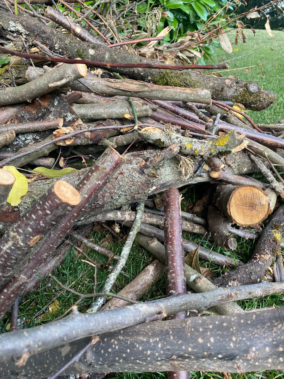 Make biochar in your home garden | betterSoil