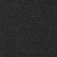 American Leather Leathers