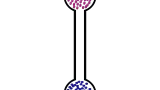 Interactive Physics Simulations | Physion App