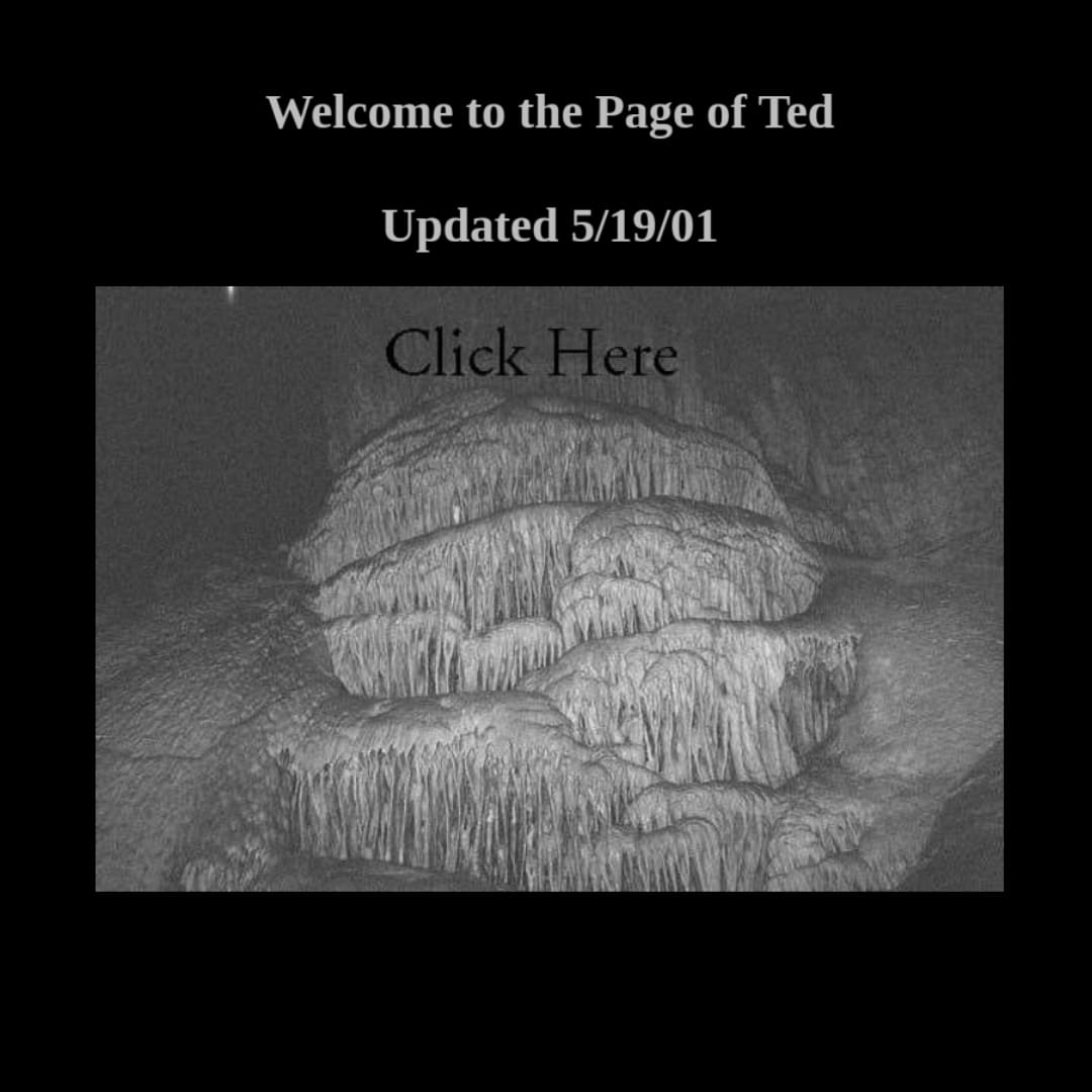 Ted the Caver | FYI