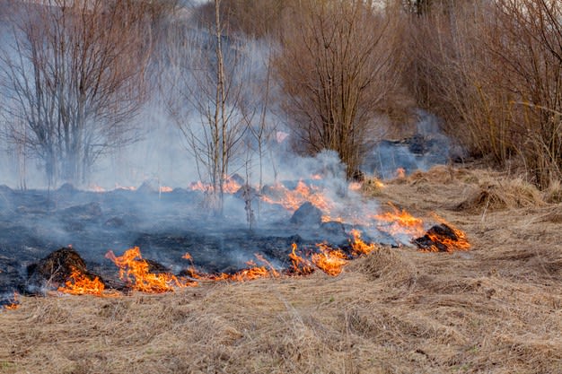 Effects Of Slash And Burn Extreme Levels Of Burning Haze In Laos