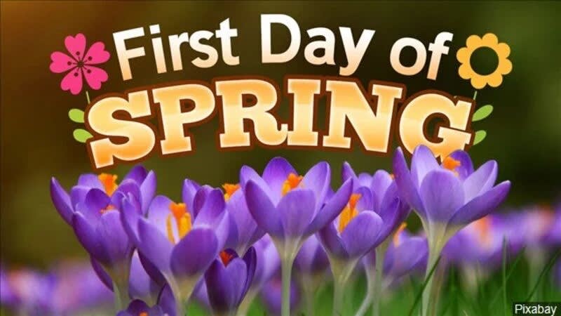 Happy First Day Of Spring Happy First Day Of Spring GIFs | Tenor