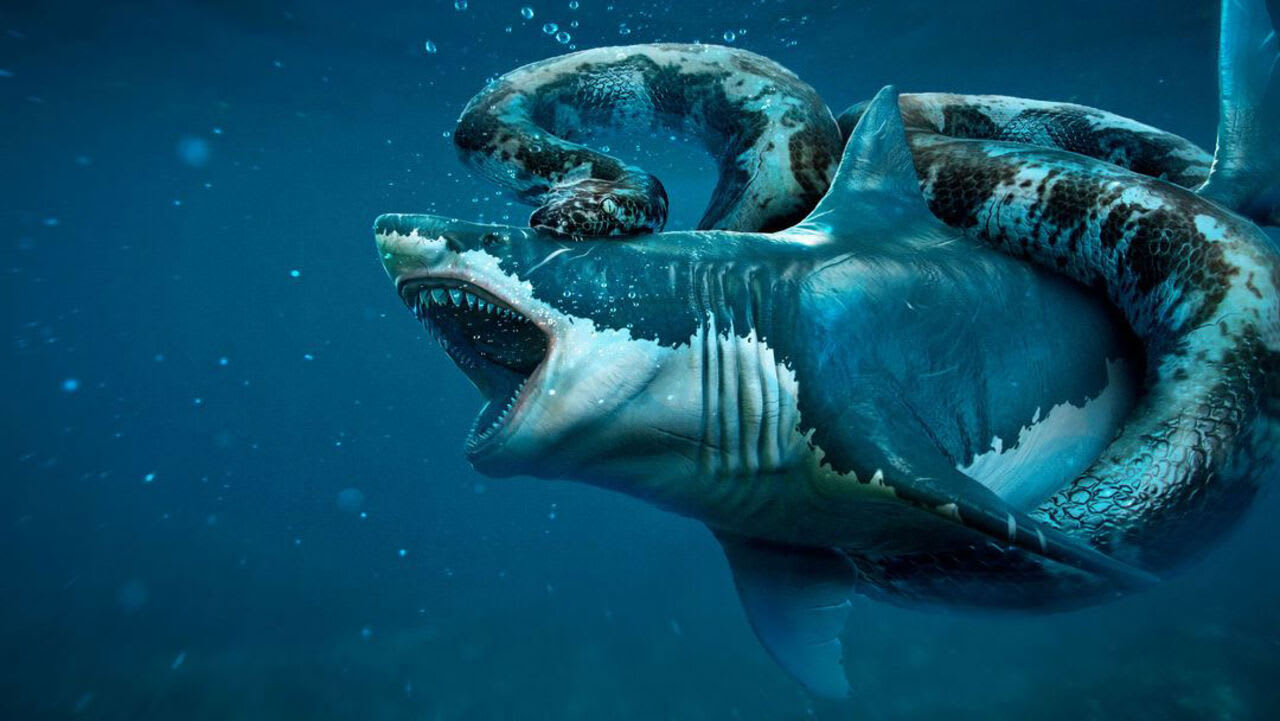 Titanoboa Vs Megalodon Titanoboa Stock Images, Royalty Free Images