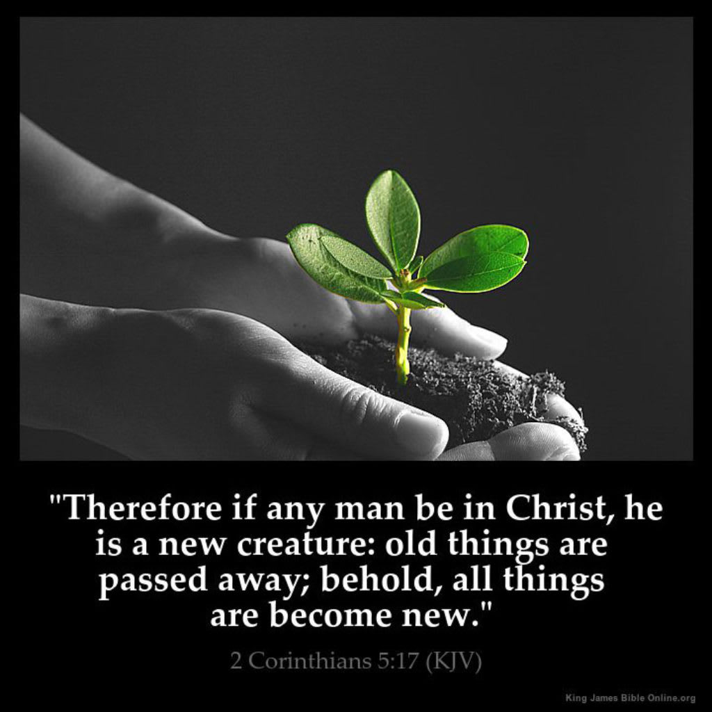 How To Become A New Creation In Christ