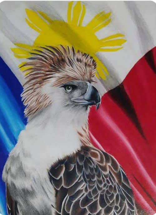 Philippine National Bird Eagle