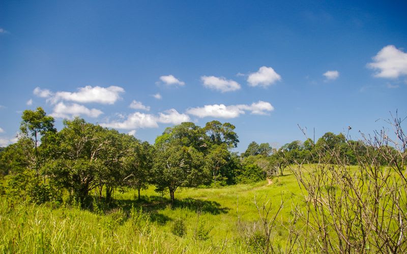 Nature View Description - Infoupdate.org