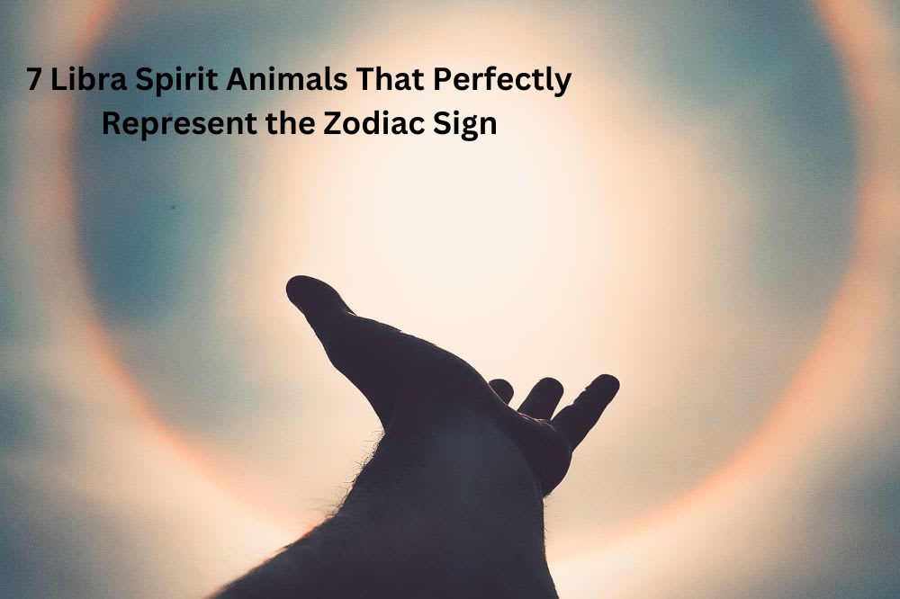 7 Libra Spirit Animals That Perfectly Represent the Zodiac Sign ...