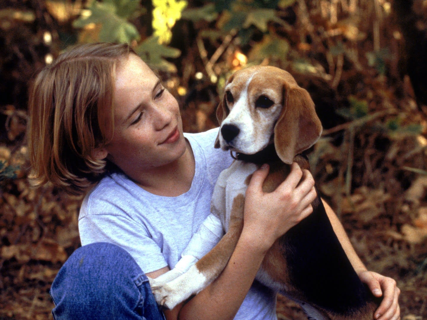 Shiloh The Movie Judd