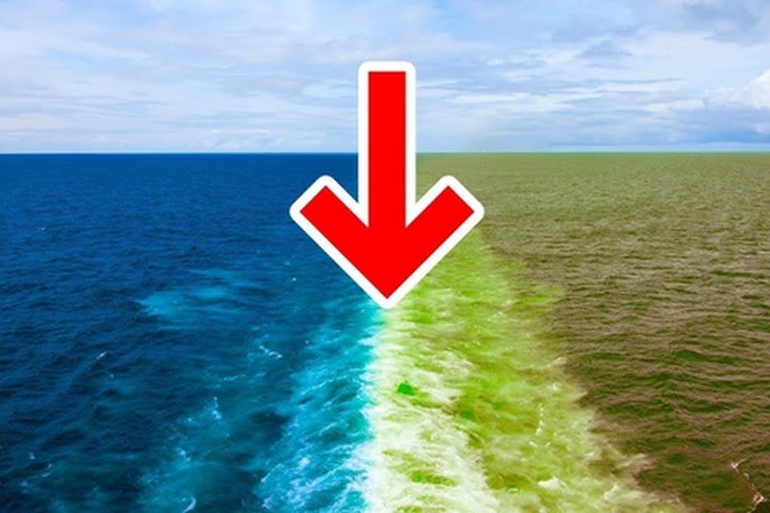 Why do the water in the Pacific and Atlantic oceans have two different ...