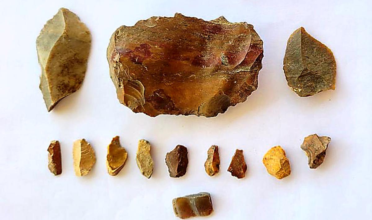 Neolithic Tools Homes Farms