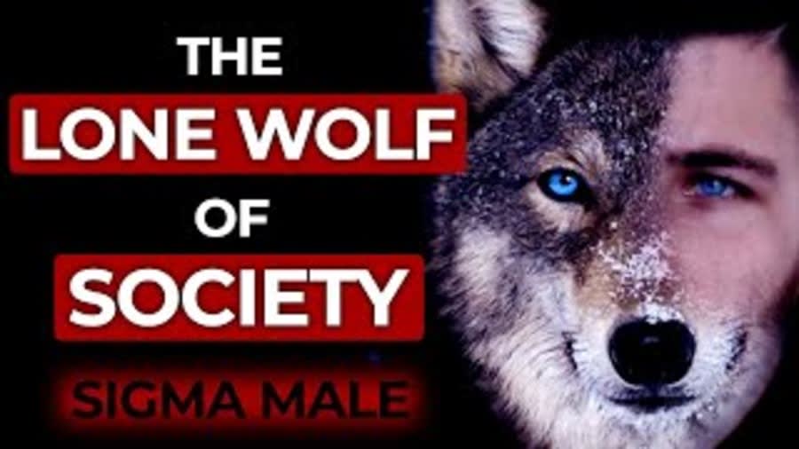 The Lone Wolf Called the Sigma | Humans