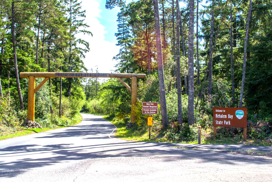 Nehalem Bay State Park Yurts
